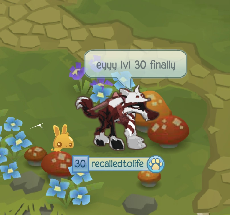 User blog:RisenDown/Reaching Level 30 on AJ Classic Adventures in 30 ...