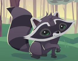 Raccoon | Animal Jam Classic Wiki | Fandom
