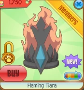 Flaming Tiara | Animal Jam Classic Wiki | Fandom
