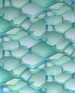 Slate Floor | Animal Jam Classic Wiki | Fandom