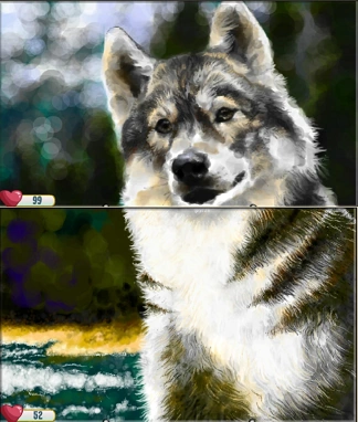 Wolf Collab | Animal Jam Art Wiki | Fandom