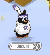 Jacuzii | Animal Jam Art Wiki | Fandom