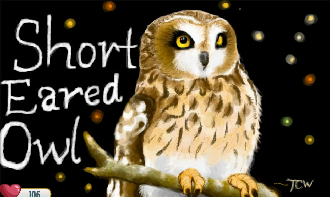 Thechipmunkwhisperer | Animal Jam Art Wiki | Fandom