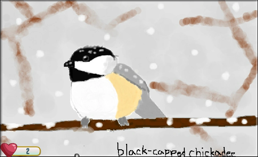 Rabbitjam3589 | Animal Jam Art Wiki | Fandom