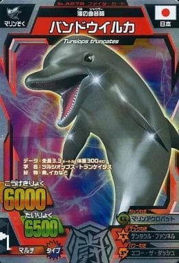 Bottlenose Dolphin | Animal Kaiser Wiki | Fandom