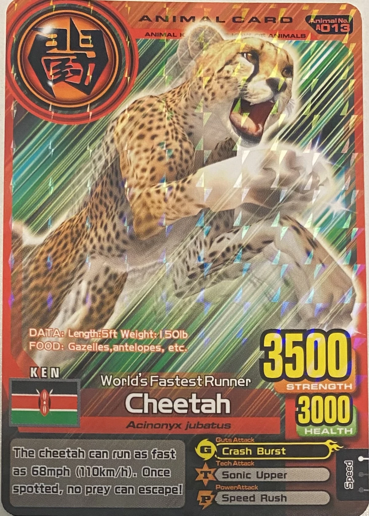 Cheetah | Animal Kaiser Wiki | Fandom