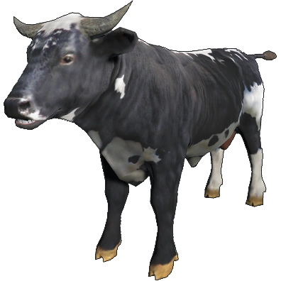 Category:Cattle | Animallica Wiki | Fandom