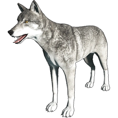 Category:Canids | Animallica Wiki | Fandom