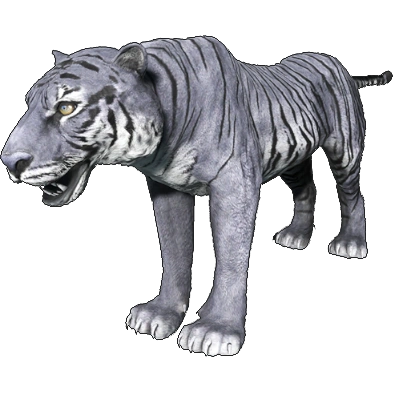 Blue the Maltese Tiger | Animallica Wiki | Fandom
