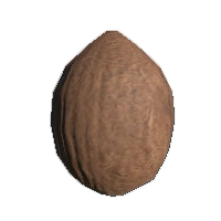 Coconut | Animallica Wiki | Fandom