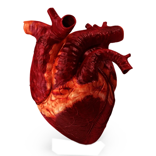 Corrupted Heart | Animallica Wiki | Fandom