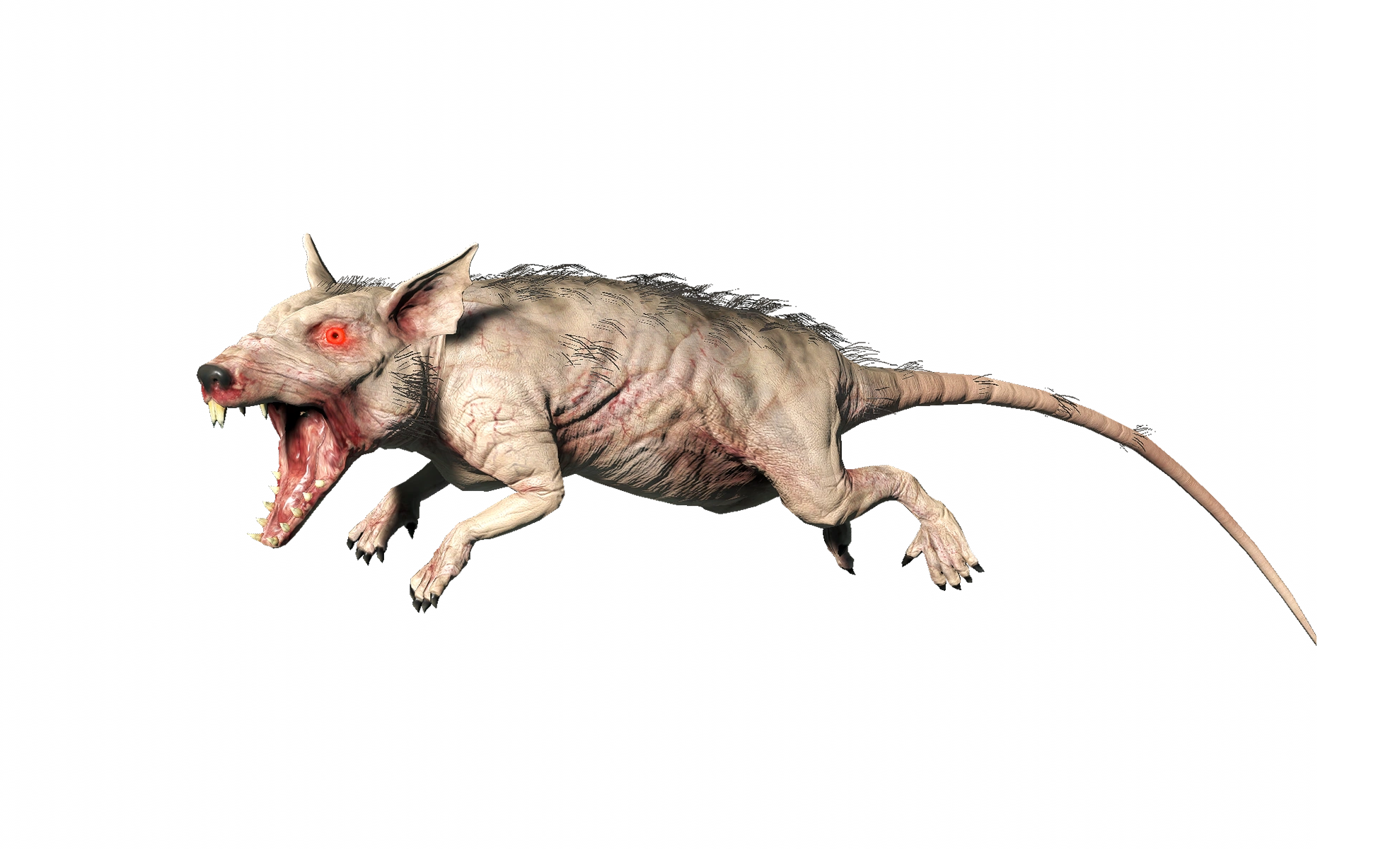 Giant Rat Animallica Wiki Fandom giant-rat-animallica-wiki-fandom
