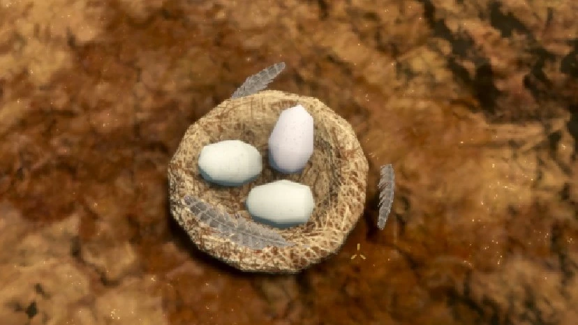 Birds Nest | Animallica Wiki | Fandom