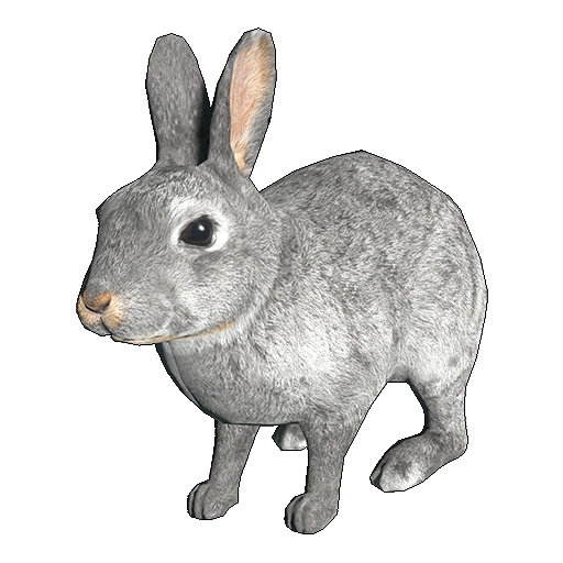European Rabbit Bbc Animals Wiki Fandom