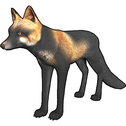 Wild Jester the Iberian Fox | Animallica Wiki | Fandom