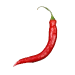 Chilli Pepper | Animallica Wiki | Fandom