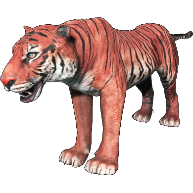 Red the Caspian Tiger | Animallica Wiki | Fandom
