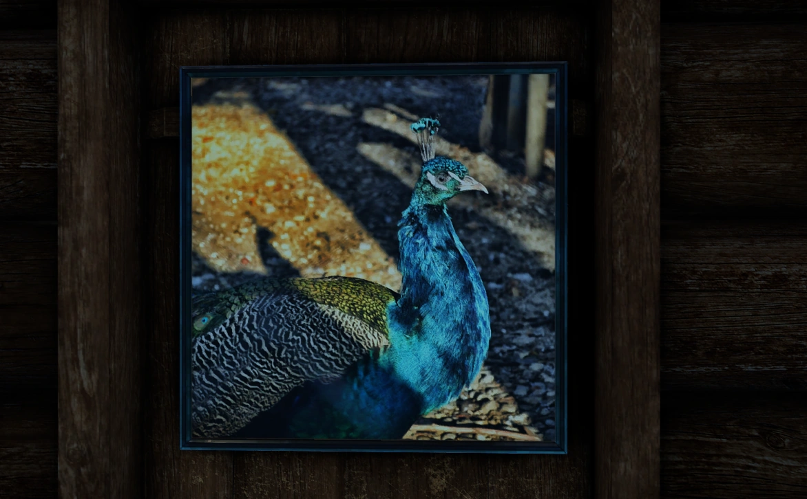 Framed Picture | Animallica Wiki | Fandom