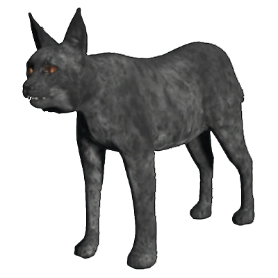 Bobby the Melanistic Bobcat | Animallica Wiki | Fandom