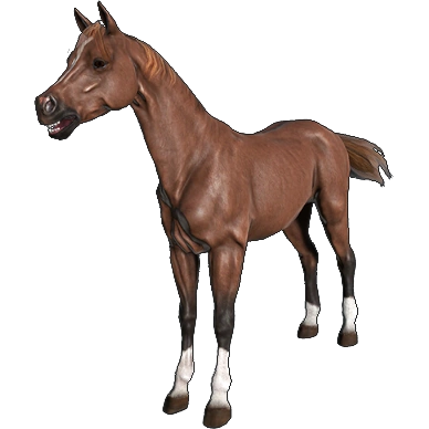 Category:Rare | Animallica Wiki | Fandom