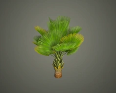 Bailey Palm | Animallica Wiki | Fandom