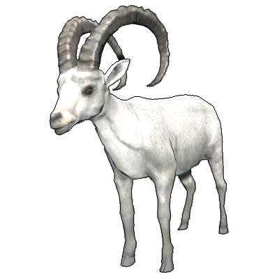 Ogre the White Nubian Ibex | Animallica Wiki | Fandom