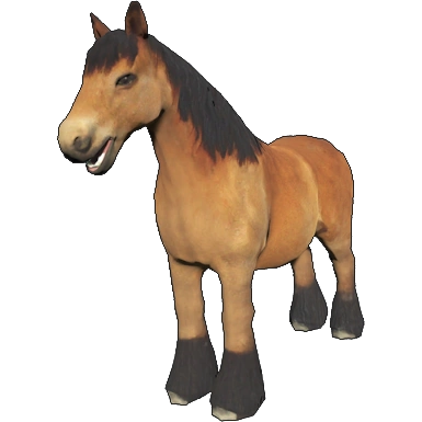 American Draft Pony | Animallica Wiki | Fandom