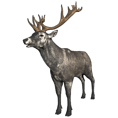 Vlad the Carpathian Red Deer | Animallica Wiki | Fandom