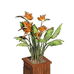 Deco Bird of Paradise | Animallica Wiki | Fandom