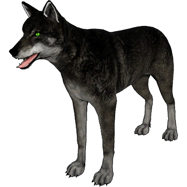 Alpha the Steppe Wolf | Animallica Wiki | Fandom