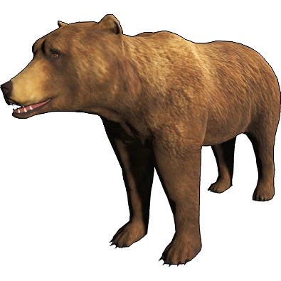 Eurasian Brown Bear | Animallica Wiki | Fandom
