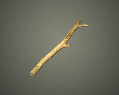 Thin Log | Animallica Wiki | Fandom