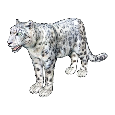 Snow Leopard | Animallica Wiki | Fandom