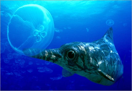 Ophthalmosaurus | Animal of the world Wiki | Fandom