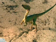 Compsognathus | Animal of the world Wiki | Fandom