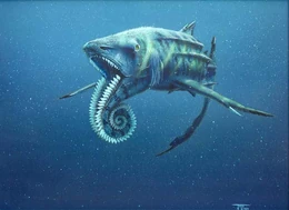 Helicoprion | Animal of the world Wiki | Fandom