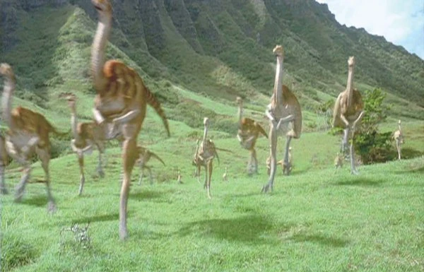 Gallimimus | Animal of the world Wiki | Fandom