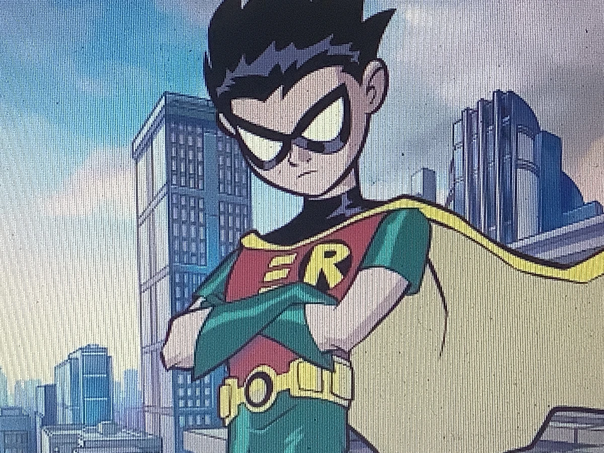 Robin | Animal of the world Wiki | Fandom