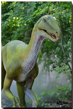 Elaphrosaurus | Animal of the world Wiki | Fandom