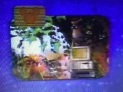 The Disney Channel Commercial Break (February 27, 1997) | Animal of the ...