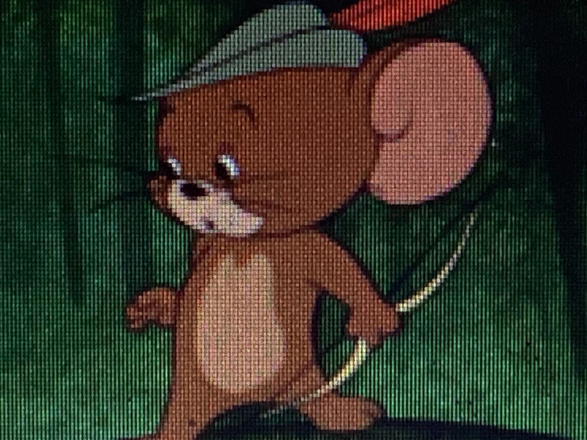 Jerry | Animal of the world Wiki | Fandom