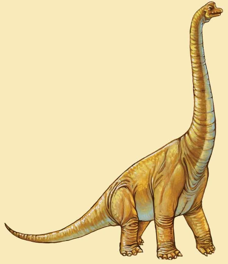 Ultrasaurus | Animal of the world Wiki | Fandom