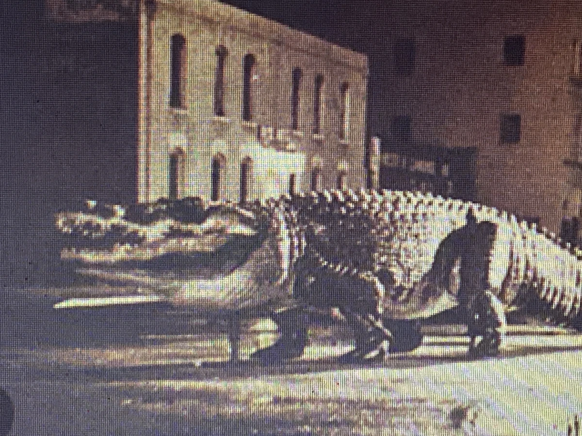 Alligator (1980) | Animal of the world Wiki | Fandom