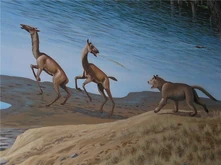 Agnotherium | Animal of the world Wiki | Fandom