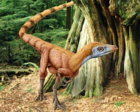 Sinosauropteryx | Animal of the world Wiki | Fandom