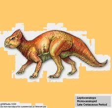 Leptoceratops | Animal of the world Wiki | Fandom