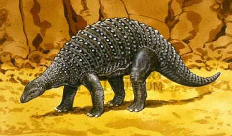 Nodosaurus | Animal of the world Wiki | Fandom
