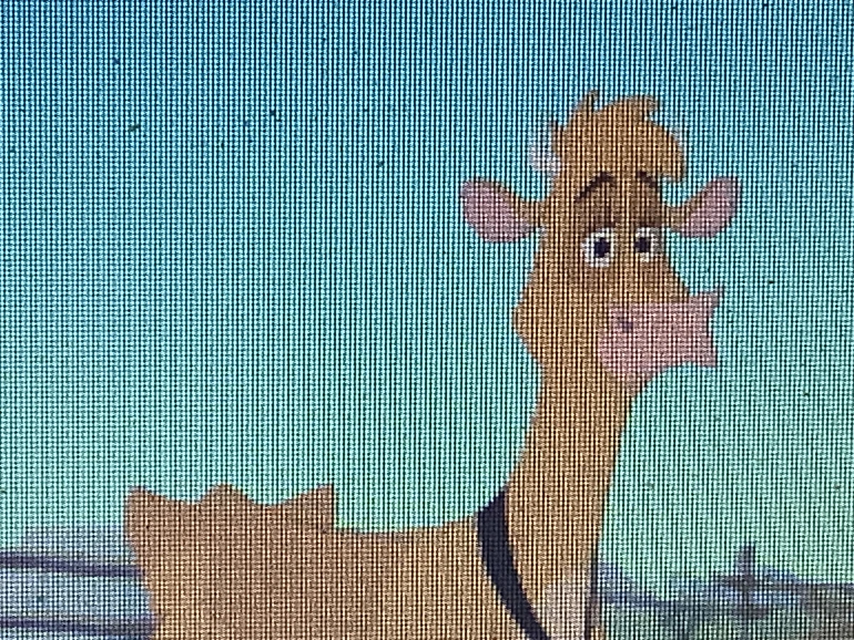Grace | Animal of the world Wiki | Fandom
