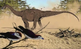 Adamantisaurus | Animal of the world Wiki | Fandom