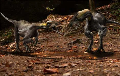 Coelurus | Animal of the world Wiki | Fandom